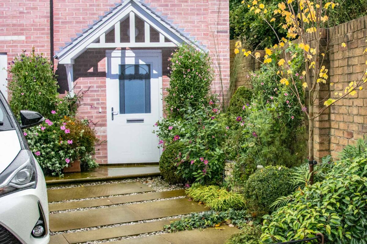 Up Front Garden Design - Blue Daisy Garden Design