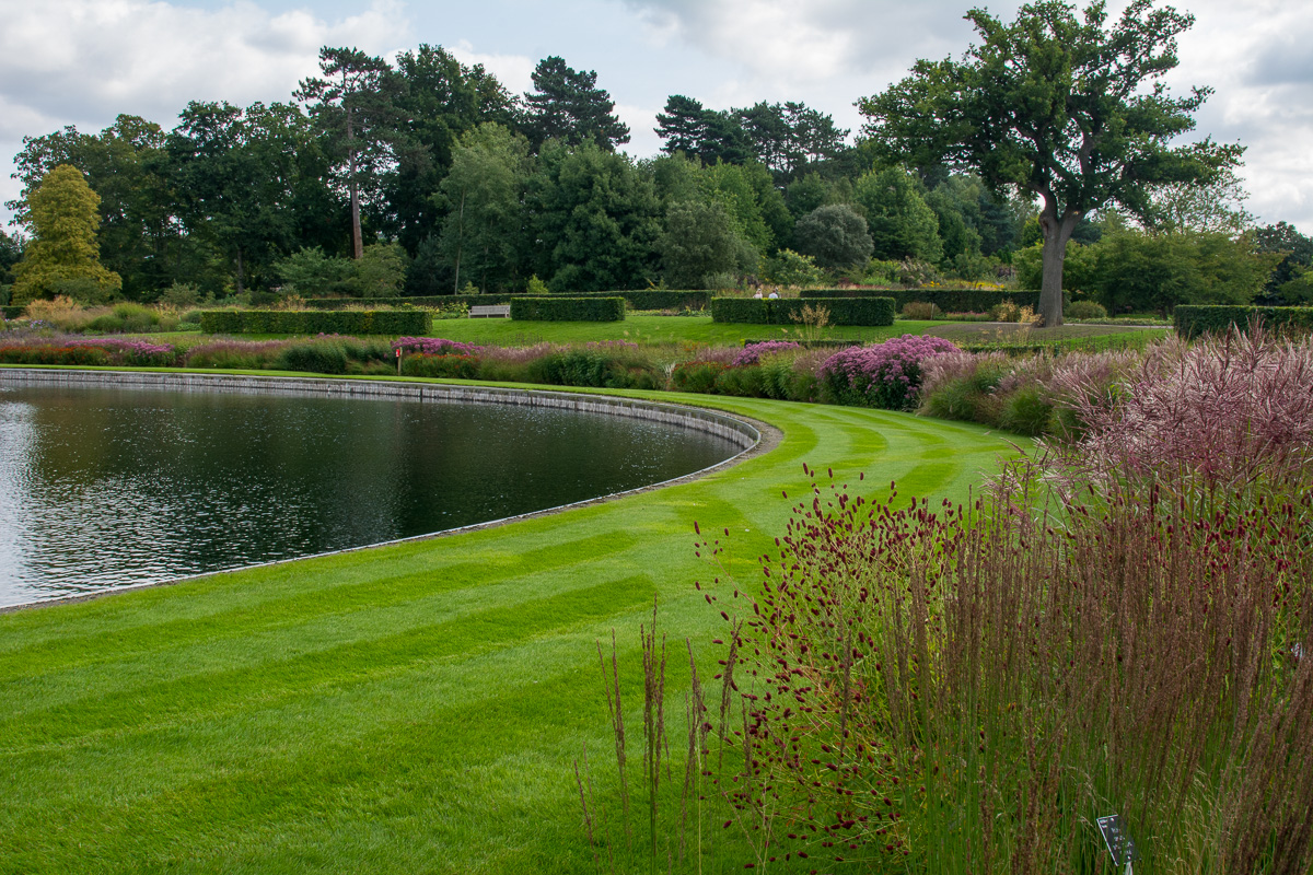 Garden Design Quick Tip: Repetition - Blue Daisy Garden Design